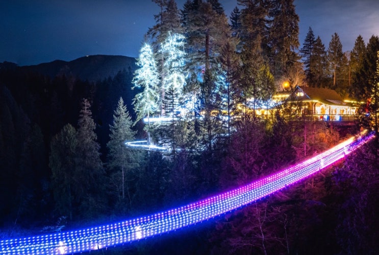 캐나다,밴쿠버 크리스마스~ Capilano Suspension Bridge Park(캐필라노 서스펜션 브릿지 파크) : 네이버 블로그