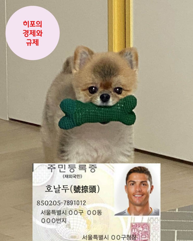 [블챌주간일기] 마지막 그리고 시작 (Feat. 브라질전) : 네이버 블로그