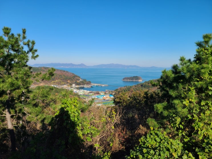 22.12.2 여수 볼락낚시(농어,쏨뱅이,보리멸,자리돔,망상어,성대.....잡어파티!!) : 네이버 블로그