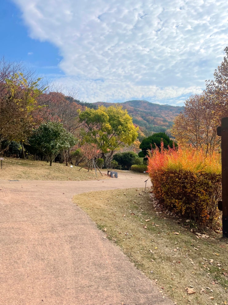 week 45, 2022 : 네이버 블로그
