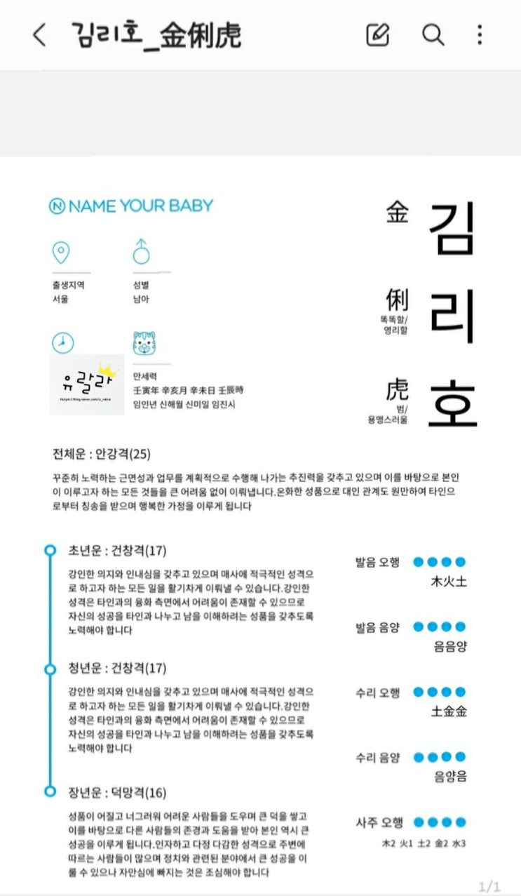 울 화랑이 이름 생긴 날👶💙 넴유베 작명어플 셀프 아기 이름 짓기 넴유베 프로 내돈내산 작명소 이름 확인해 보기