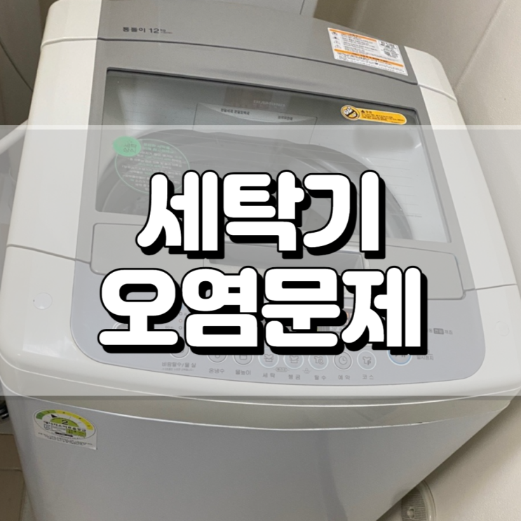 세탁기 곰팡이제거 전문업체 울산 래핑홈케어 네이버 블로그