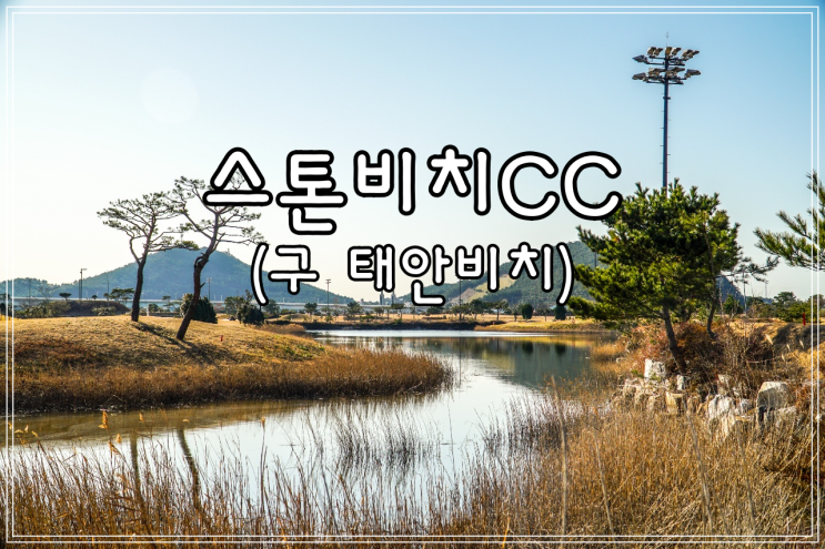 충청도 태안 겨울 골프패키지 스톤비치cc 구 태안비치 1월 골프 여행 추천 네이버 블로그