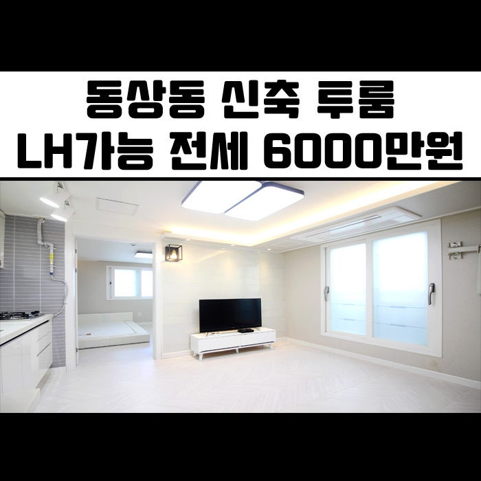 김해 Lh 카카오뱅크 전세대출 가능한 신축 투룸 화이트톤 동상동 풀옵션 방1거실넓은 분리형원룸 원룸 임대 Lh 전문