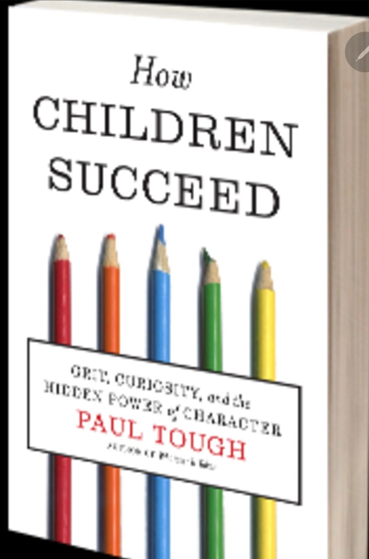 HOW CHILDREN SUCCEEDBY PAUL TOUGH : 네이버 블로그