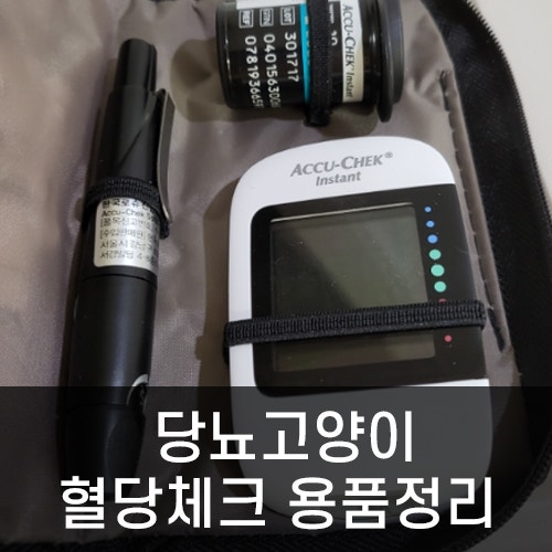 당뇨 고양이를 위한 혈당체크 준비물 정리 자가 혈당체크 방법 네이버 블로그