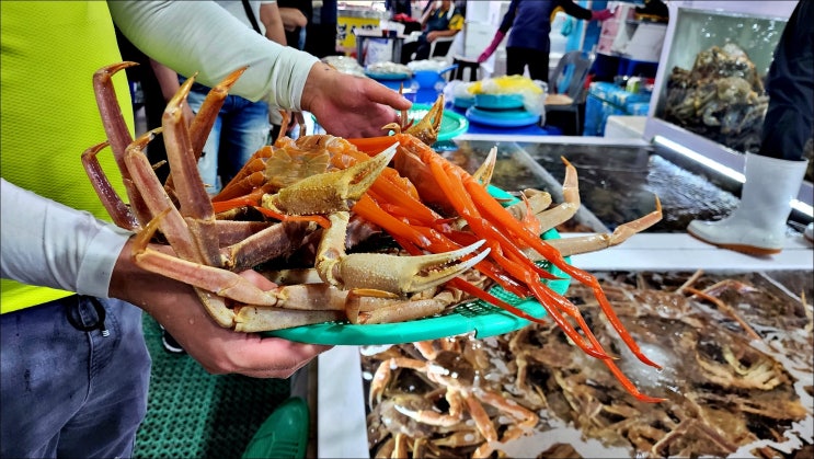 강릉 먹거리 주문진 수산시장 해산물 대게 홍게 가득 네이버 블로그