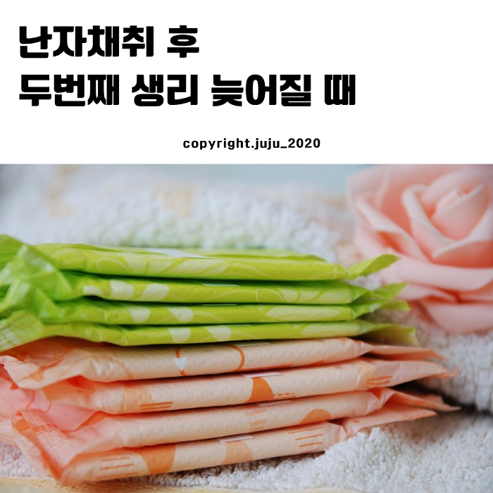 난자채취 후 두번째생리 늦어질때 네이버 블로그