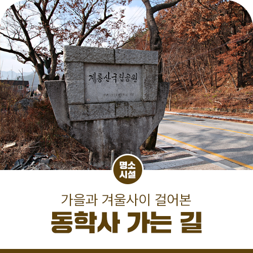 공주 여행 가을과 겨울 사이 걸어본 계룡산 동학사 가는 길 네이버 블로그