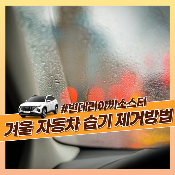 투싼 겨울 자동차 습기 제거방법 알아보기 네이버 블로그