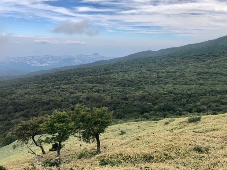 제주여행 제주도 여행 한라산 등산 성판악 코스 한라산 백로담까지 가기 힘들다면 한라산 작은 백록담 ‘사라오름