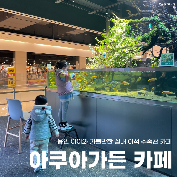 용인 아이랑 갈만한곳 실내 수족관카페 아쿠아가든 리빙파워센터 기흥점 네이버 블로그