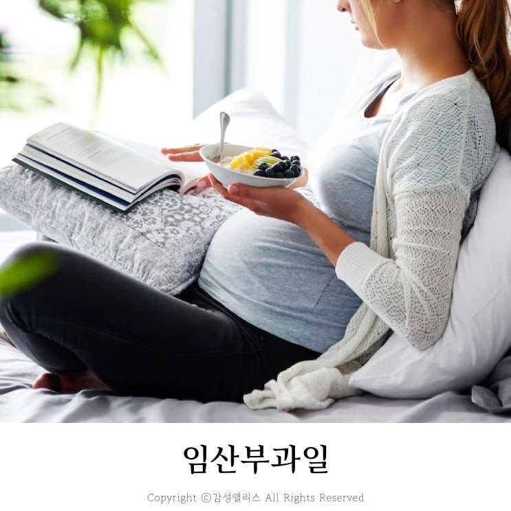 임산부 과일 파인애플 복숭아 참외 자몽 수박 임산부 간식으로 먹어도 될까 네이버 블로그