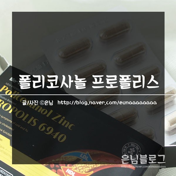바이오탑 폴리코사놀 프로폴리스 면역력 챙겨 네이버 블로그