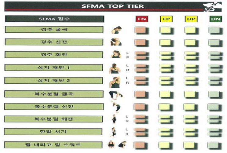 SFMA를 통한 움직임 평가(움직임 북리뷰 3) : 네이버 블로그