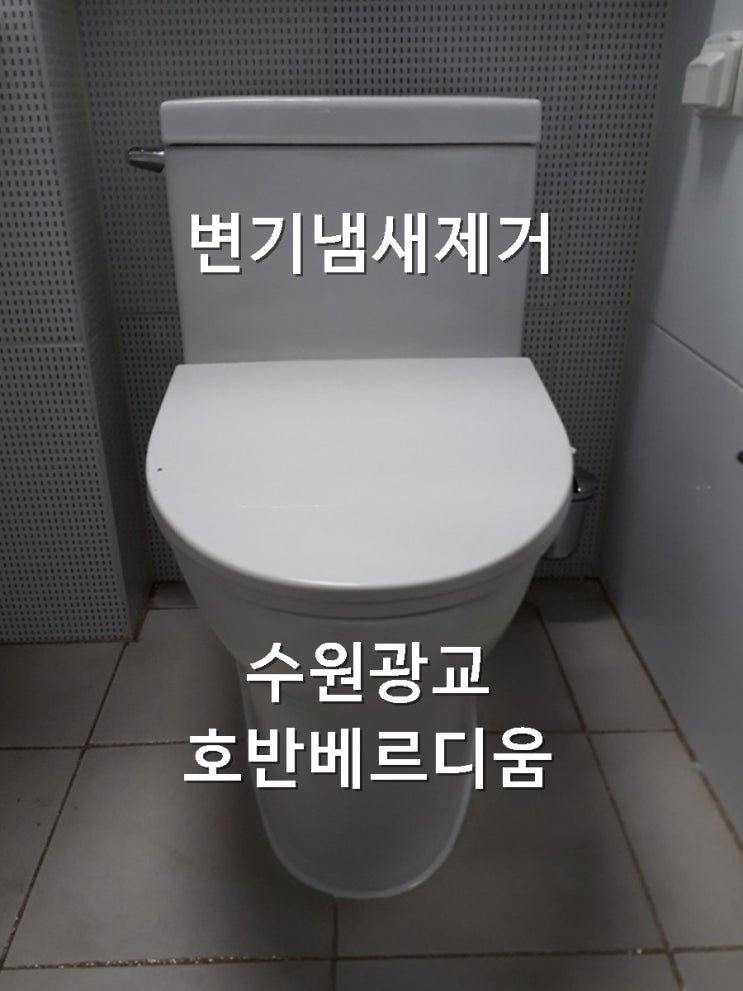 광교변기냄새제거 광교호반베르디움 변기고무패킹을 제거 광교호반베르디움양변기재시공 계림원피스치마형양변기 광교상록자이변기