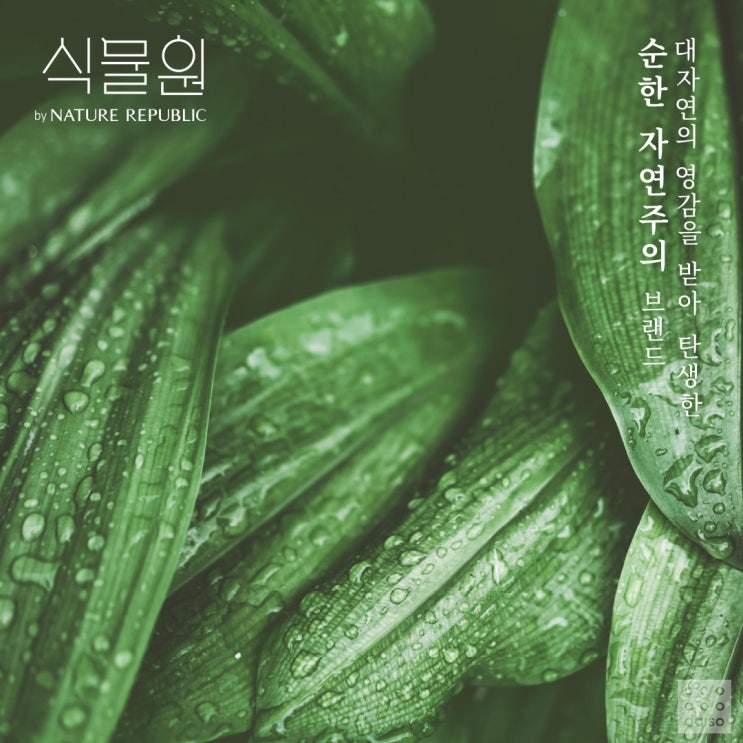 다이소 식물원 화장품 2차 신상 론칭🎉~ 대자연의 영감을 받아 탄생한 순한 자연주의 브랜드 식물원” 2차 기초부터