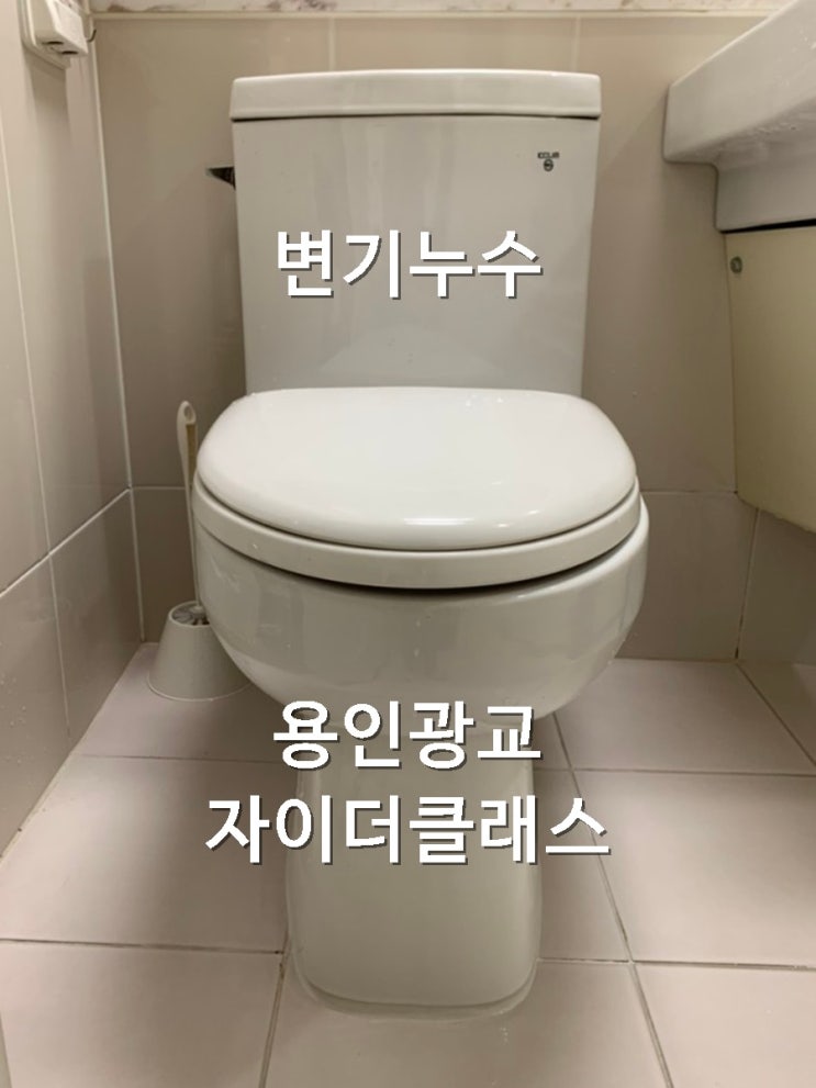 용인광교자이더클래스변기수리 변기누수수리 광교자이더클래스 변기고무패킹제거 백시멘트시공 대림바스플랜지정심시공 수지광교마을