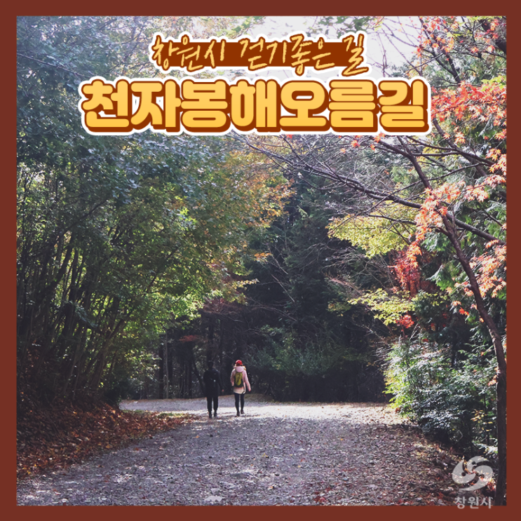 창원시 걷기 좋은 길 진해드림로드 천자봉 해오름길 네이버 블로그