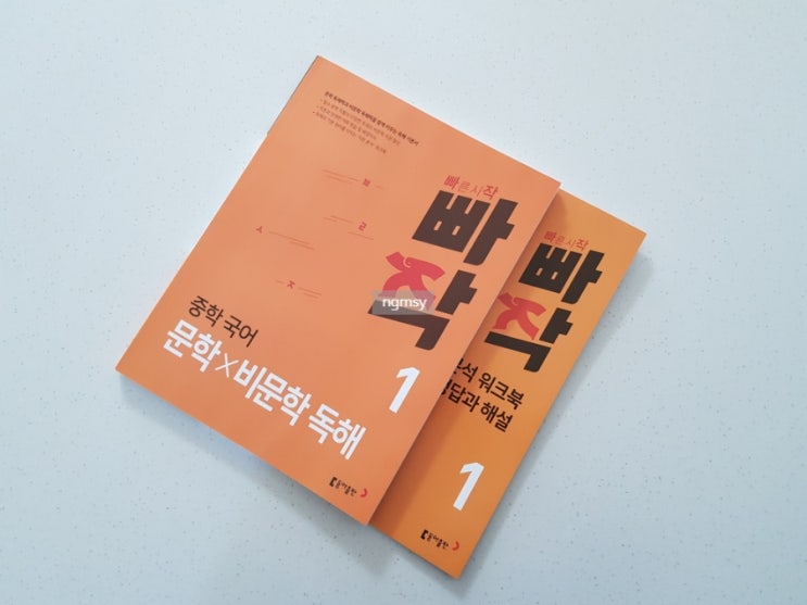 중등문제집 빠작 중학 국어 문학x비문학 독해 1 중학 국어 문제집 네이버 블로그