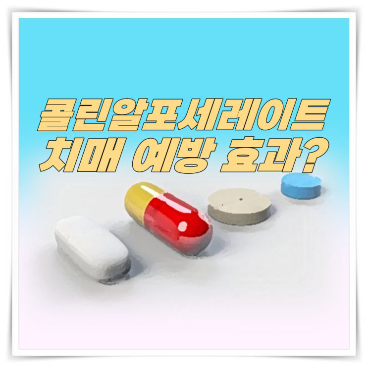 콜린알포세레이트 치매예방약으로 알려졌던 뇌기능개선제 진실은 네이버 블로그