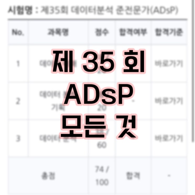 데이터분석준전문가 ADsP 비전공자 독학의 모든 것 : 네이버 블로그