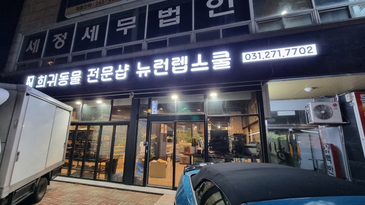 수원 파충류샵 뉴런렙스쿨에 방문해서 귀여운 육지거북이 입양 후기 네이버 블로그