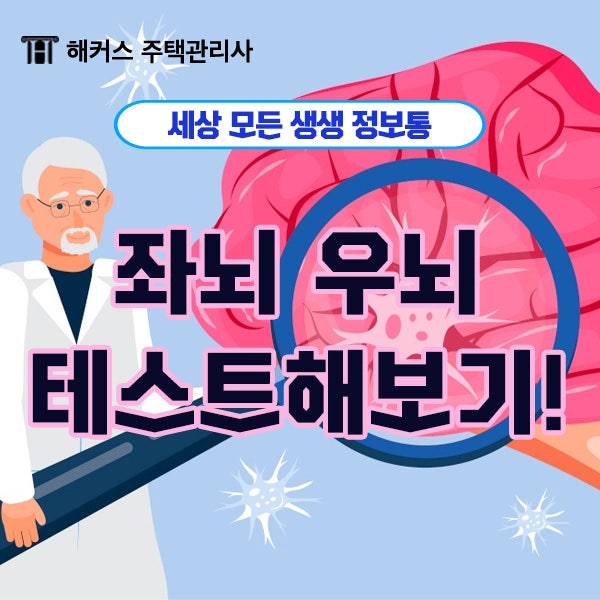 좌뇌 우뇌 테스트 좌뇌형인간 우뇌형인간 차이 네이버 블로그