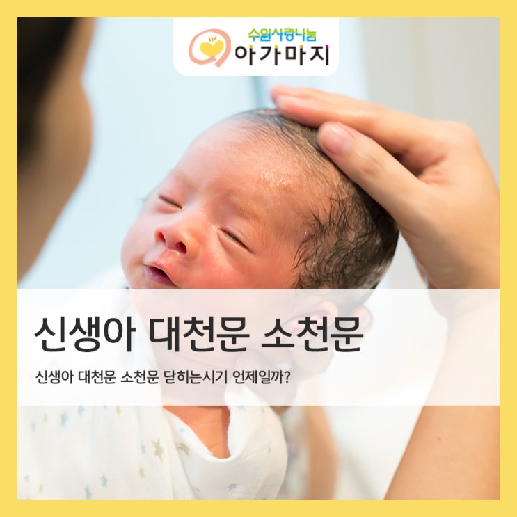 신생아 대천문 소천문 닫히는시기 언제일까 네이버 블로그
