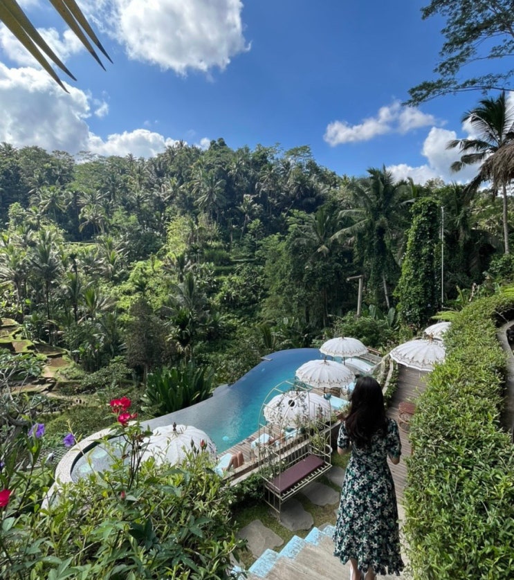 발리 우붓 티스카페 5천원에 발리 스윙이 가능한 Tis Cafe : 네이버 블로그