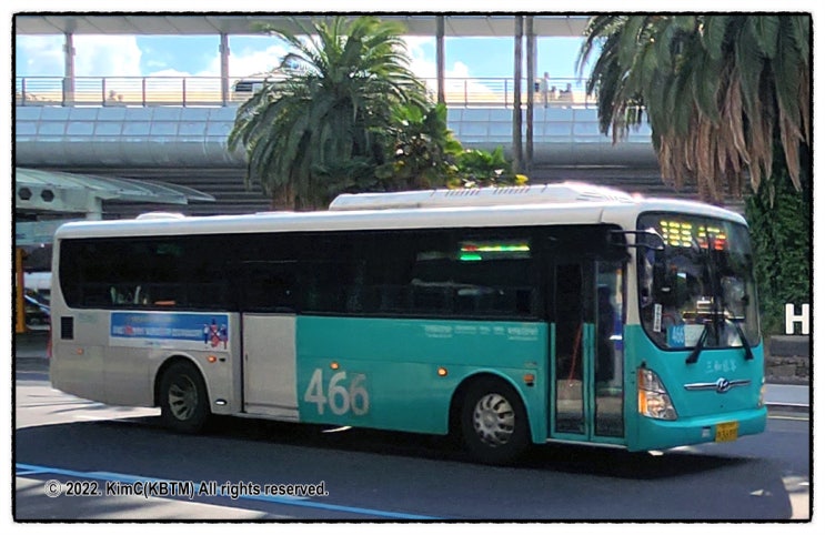 2022 제주] 삼화여객 466번 시내지선버스 (현대 뉴 슈퍼 에어로시티 H310/KBTM)』 : 네이버 블로그