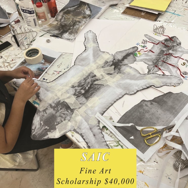 [미국미대] 장학금 5천만원 합격생/School of the Art Institute of Chicago/SAIC/ Fine ...