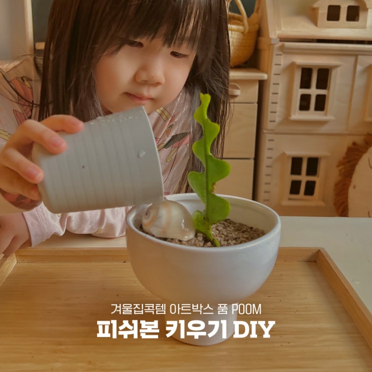 겨울집콕템 아트박스 품 POOM 반려식물 피쉬본 키우기 DIY : 네이버 블로그