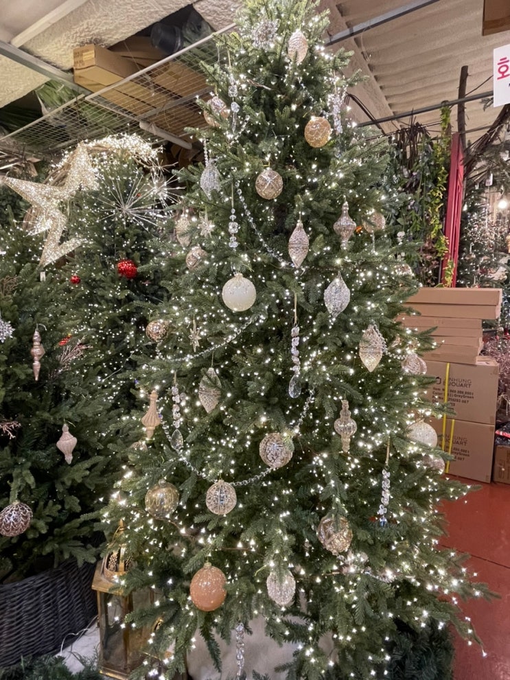 대구 크리스마스 소품 대구 꽃백화점 크리스마스트리 용품파는곳🎄 네이버 블로그