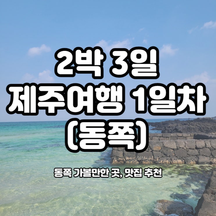제주도여행 제주감성 듬뿍담은 2박3일 제주 동쪽여행 1일차 새우리청파식당횟집소금바치순이네 겨울 제주도 여행