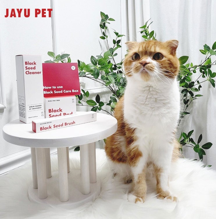 고양이 턱드름 원인과 관리 방법 자유펫 키트로 꼬드름도 관리 네이버 블로그