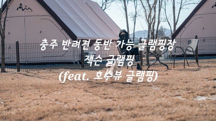충주 반려견 동반 가능 글램핑장 잭슨 글램핑 Feat 호수뷰 글램핑 네이버 블로그