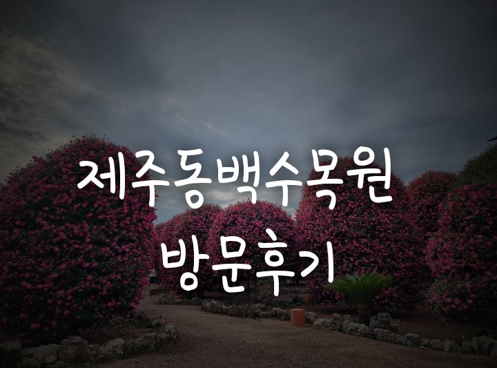 제주동백수목원 방문후기 눈과 코가 행복한 동백이야기feat 제주 가볼만한 곳 서귀포 아이들과 가볼만한 곳 동백수목원