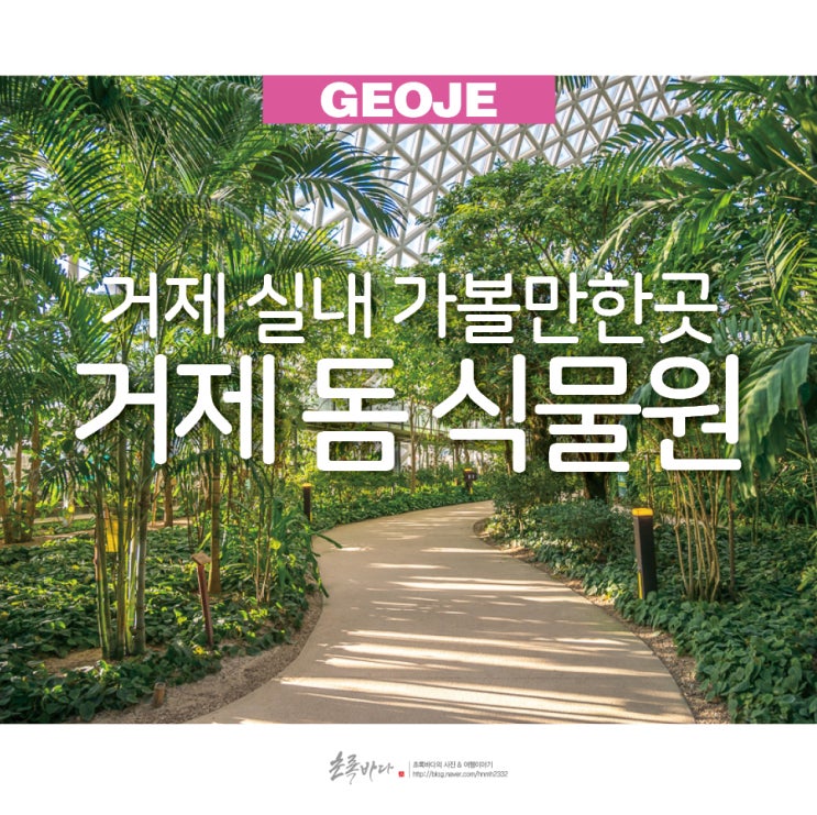거제도 식물원 정글돔 거제 실내 가볼만한곳 거제도 볼거리 거제 돔 식물원 네이버 블로그