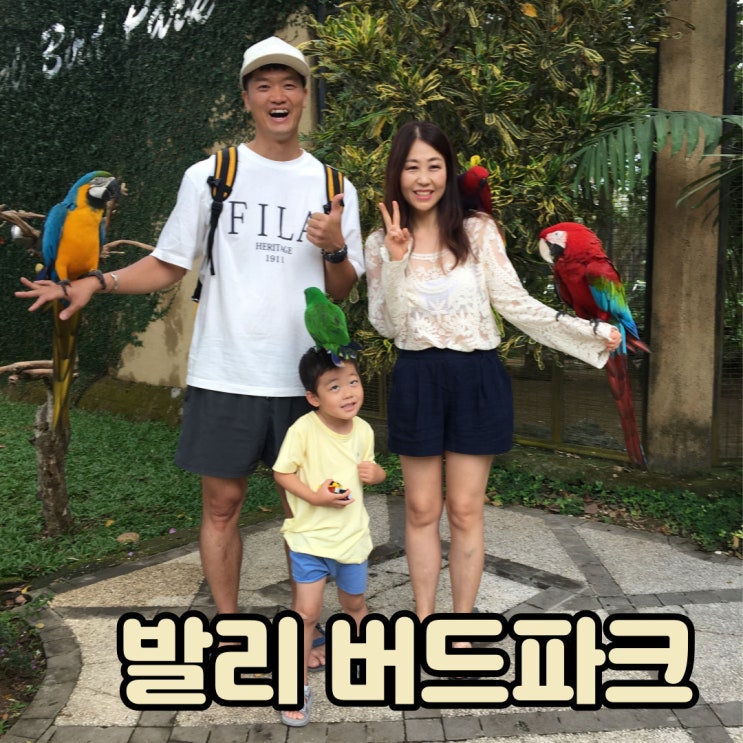 발리 새공원발리 버드파크 아이와 함께 가면 좋은 곳 클룩 예약 꿀팁까지 챙기세요 네이버 블로그