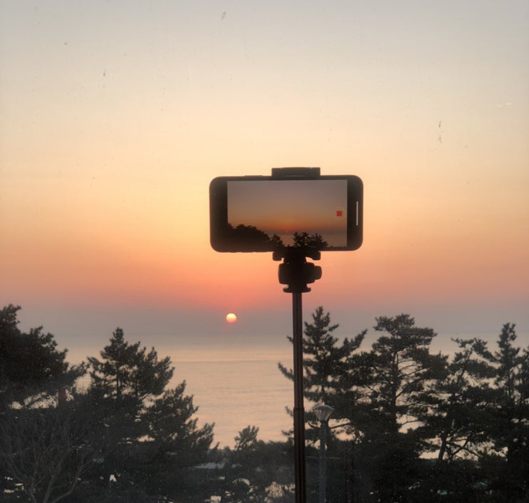 강원도 양양 호텔 낙산비치호텔 룸에서 바다and일출을 볼 수 있는 호텔 오션뷰숲뷰 근처 관광지서피비치 선셋바