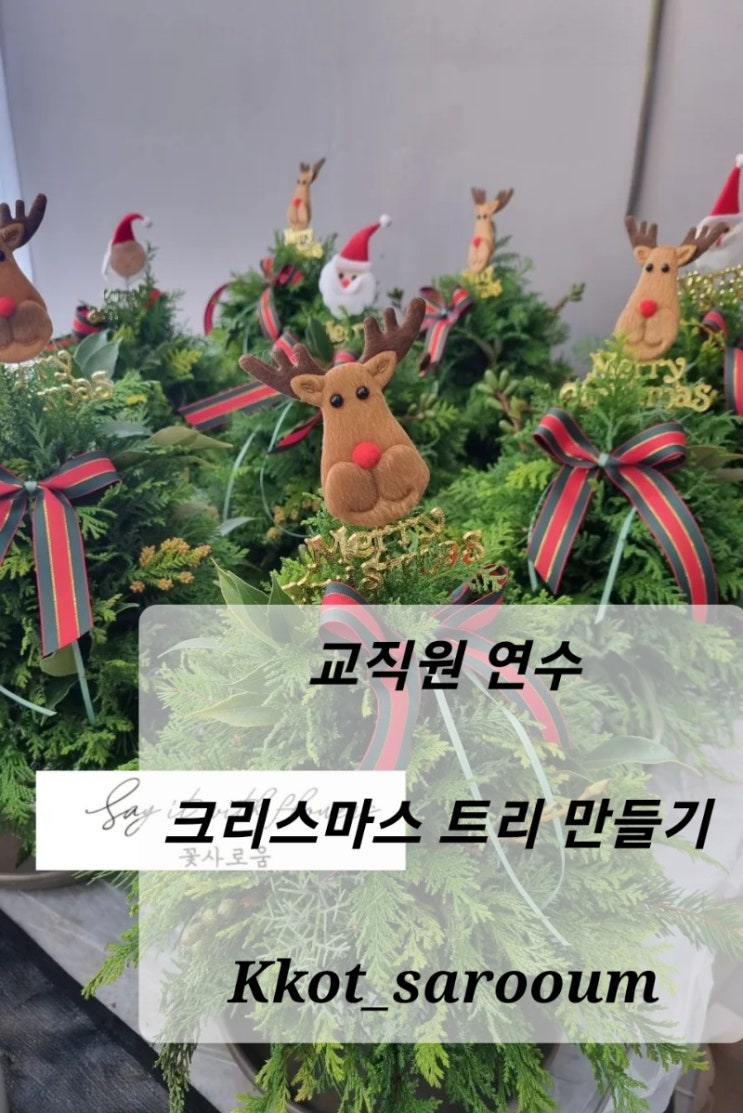 크리스마스트리 만들기 생화트리 원데이클래스 전주전북 유치원 교원연수 광주꽃집 꽃사로움 광주공방 동네공방 베이직과정 꽃꽂이 플라워