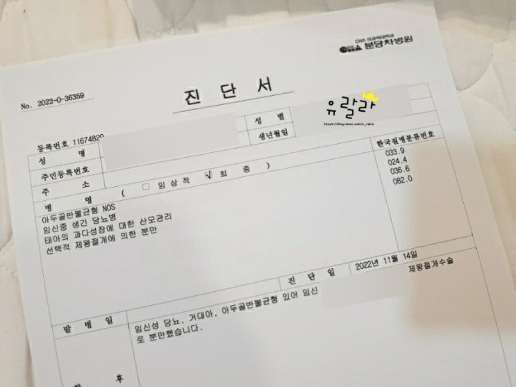 현대해상 태아보험 산모특약 임당산모 선택 제왕절개 And 신생아 니큐 입원비용 보험금 청구 및 보험금 지급받기 진단서