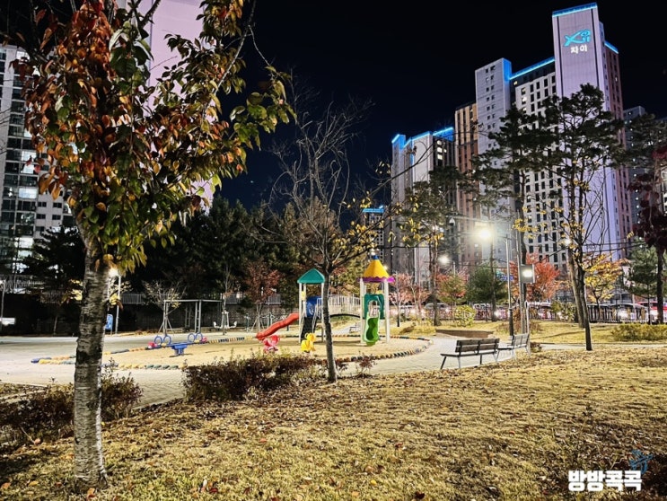 경기도 평택 공원 심야 데이트 드라이브 애견동반 가능 네이버 블로그