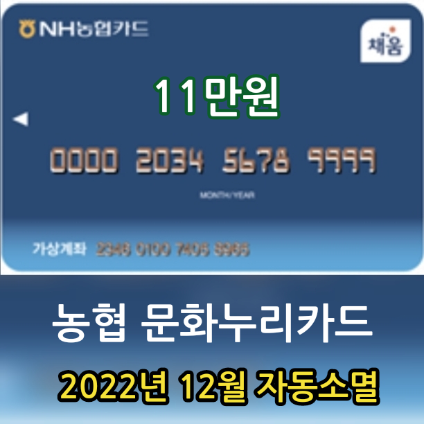 농협 문화누리카드 사용처 가맹점 농협카드 농협 채움카드 소멸전에 사용 사용법 서울 양천구 신월동 무게로 헌책방 중고서점에서 책
