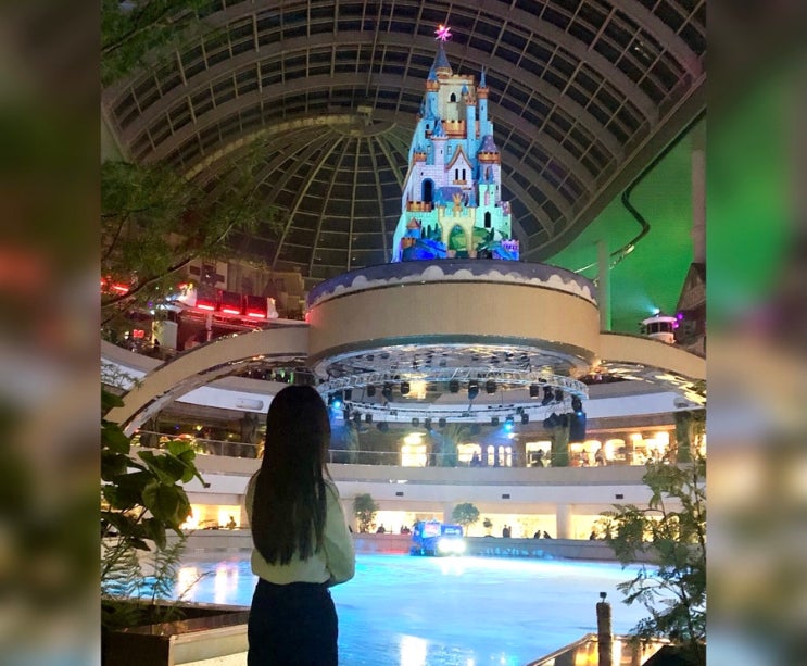 롯데월드 아이스링크 A To Z 이용 꿀팁 할인 정빙시간 네이버 블로그