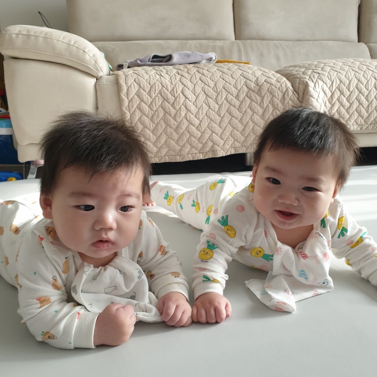 20221213 나바리의 육아일기 : 먹는데 진심 : 네이버 블로그