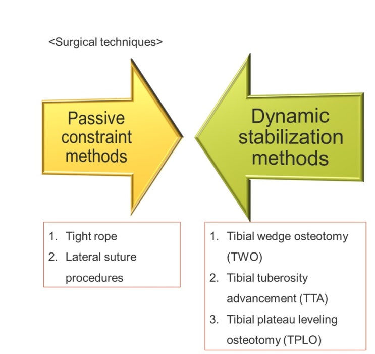 Application of the CBLO for dogs with CCLR (십자인대파열이 있는 환자에서 CBLO의 적용 ...
