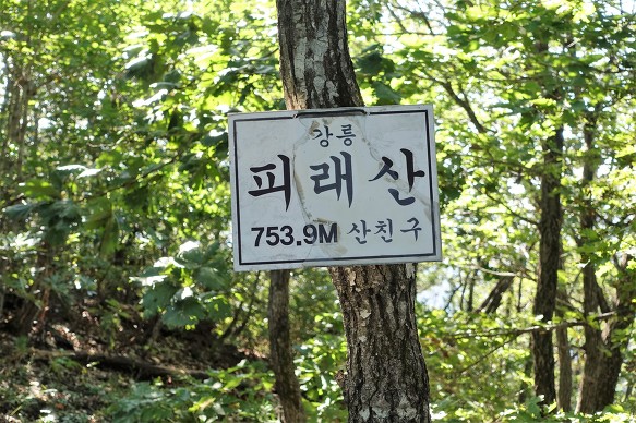 강릉 피래산 : 네이버 블로그