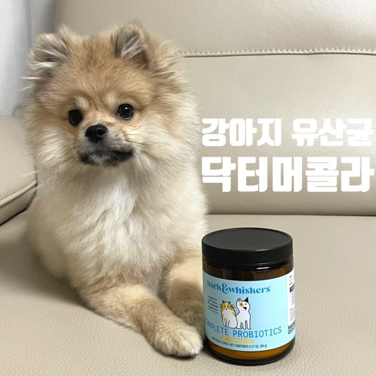 강아지 설사에 좋은 강아지 유산균 닥터머콜라 유산균 내돈내산 후기 네이버 블로그